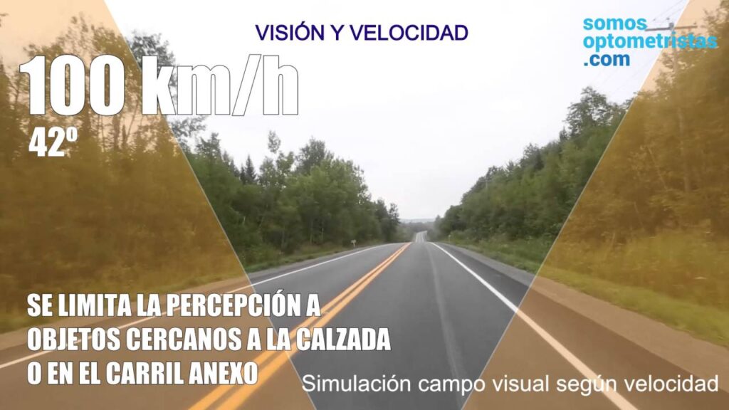 Relación entre la velocidad y el campo de visión del conductor ️